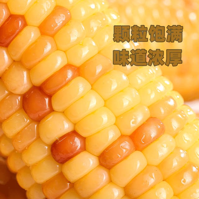 Tu Xiaole West Double Version Little Flower Glutinous Corn 1.5kg Vacuum ...