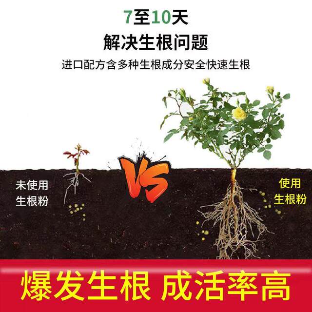 Rapid rooting powder water-soluble rapid rooting and root strengthening ...