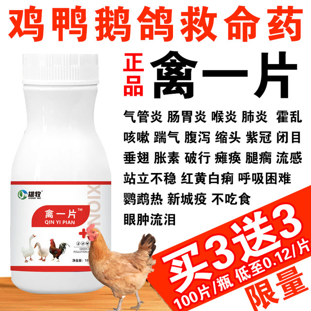 Poultry tablet: special medicine for raising chickens, life-saving ...