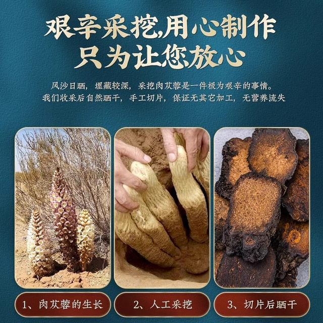 Xinjiang Cistanche deserticola authentic Chinese medicinal materials ...