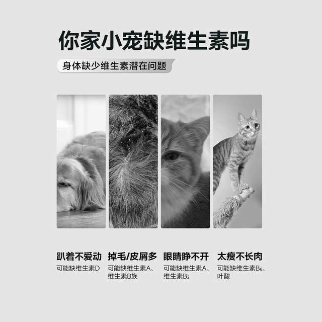 Anniversary compound for cats and dogs, special for improving immunity ...