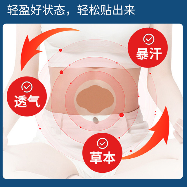 Damascus rose sweat mugwort patch herbal energy fiber posture patch ...