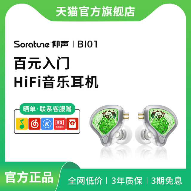 Bai Sheng Bi01 Ear -Ear Music Headphones Wired HIFI High -quality Live ...