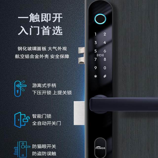 Mings Wanshi ST3 Smart Lock Anti -theft glass door lock home app ...
