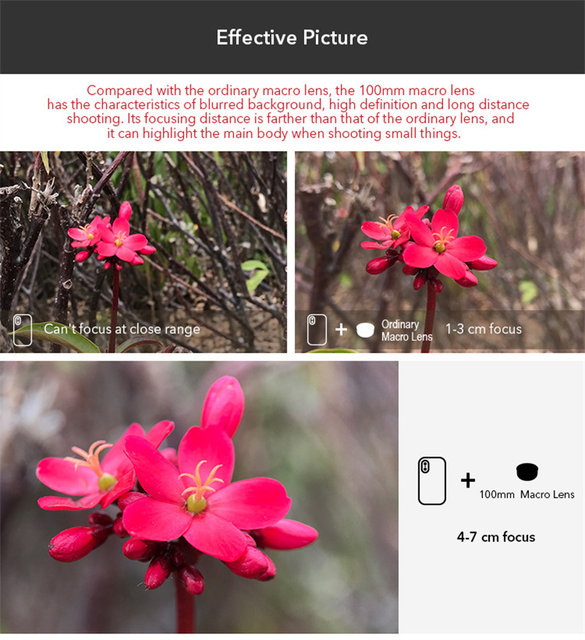Mobile phone lens HD insect flower jewelry long-distance shooting ...