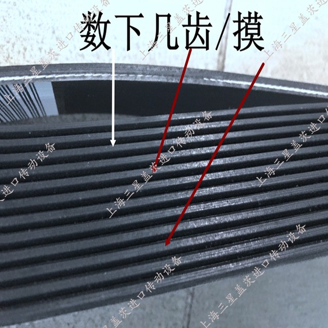 Vega Rubber Multi-Ribbed Belt Multi-Groove Belt Industrial Triangle ...