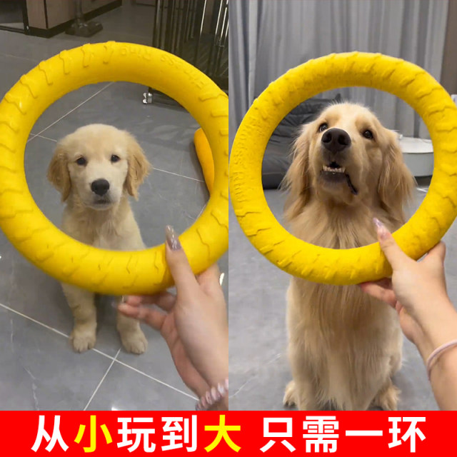 Dog toys toys stretch rings and teeth resistant to bite-resistant ...