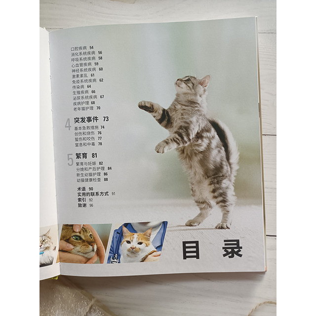 Genuine book cat care guide how to keep cats healthy and happy cat ...