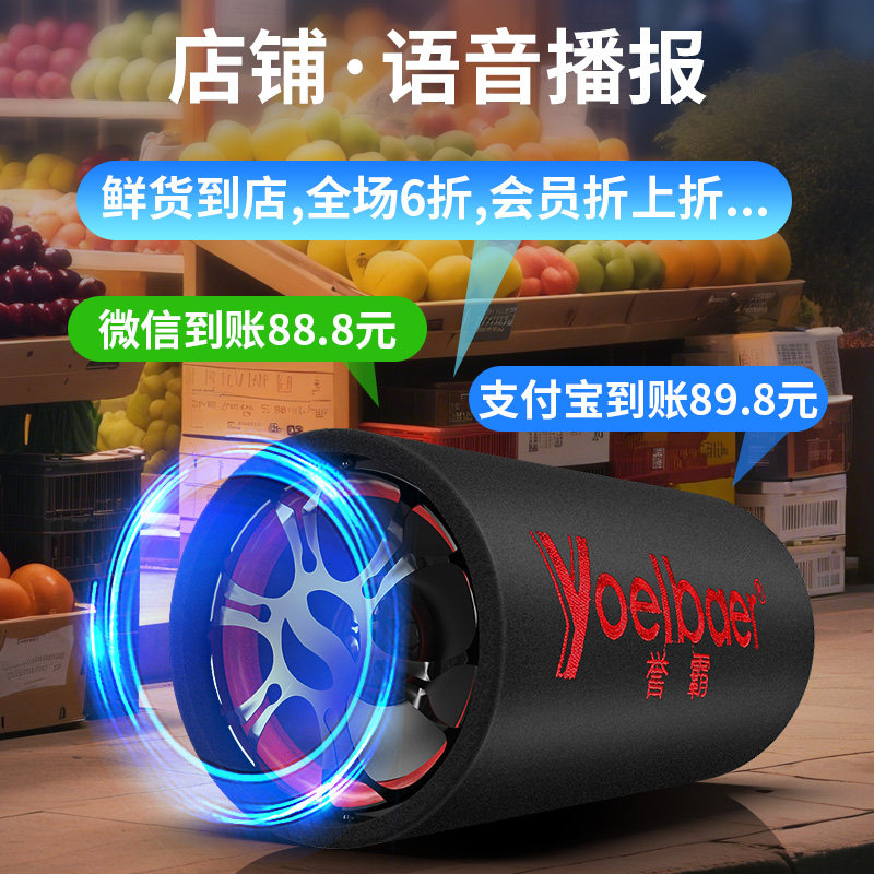 Subwoofer Activo para Coche Yoelbaer 5 - 60W Tipo Túnel