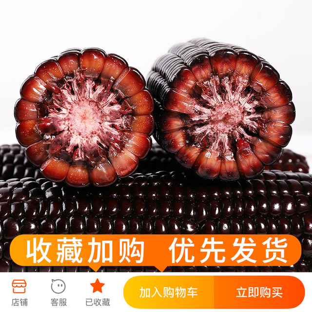 Northeast black glutinous corn 10 fresh purple sticky corn double rods ...