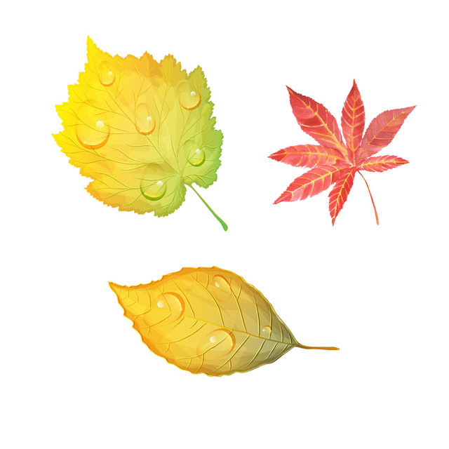 Car personality creative leaves cover scar stickers car head decals ...