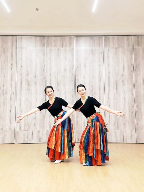 Flowers and Shadows New Dance Love in Namtso Tibetan Dance Costume Practice Skirt Tibetan Stage ...