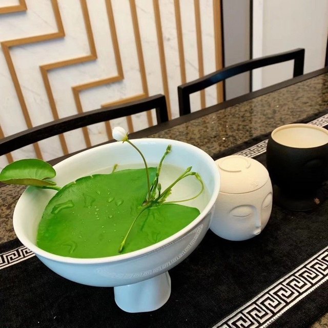 One-leaf lotus hydroponic plant with flower buds, bowl lotus, aquatic ...