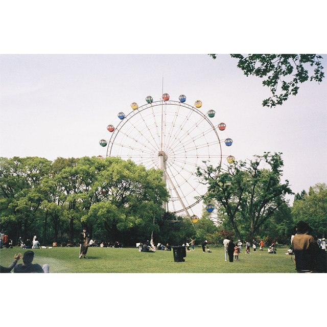 Fuji QuickSnap1986 disposable color film point-and-shoot camera gift ...