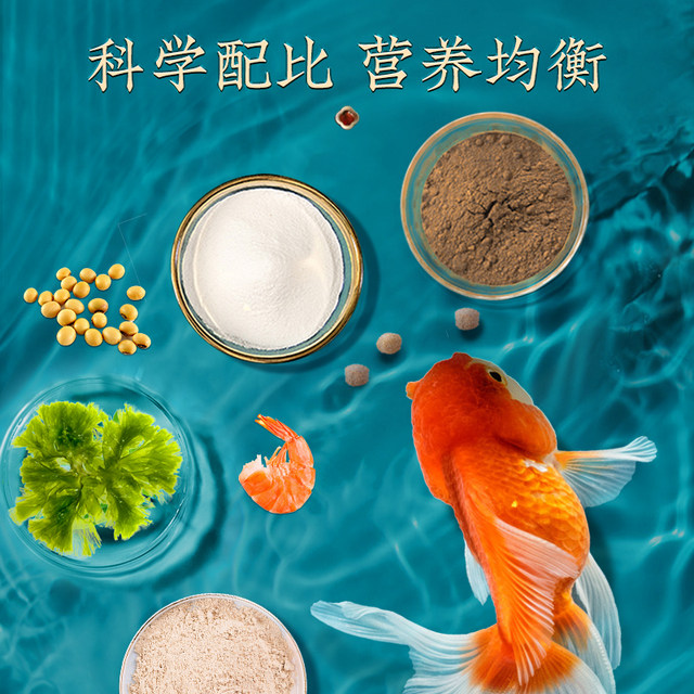 Yee Lanshou goldfish feed special fish food high protein floating type ...