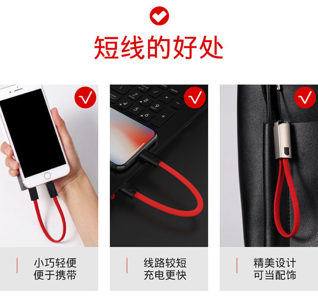 Keychain Type-C charging cable fast charging data cable braided lanyard ...