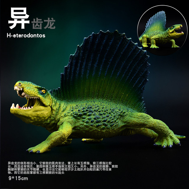 Dinosaur model toy Dimetrodon model open and close mouth ornament gift