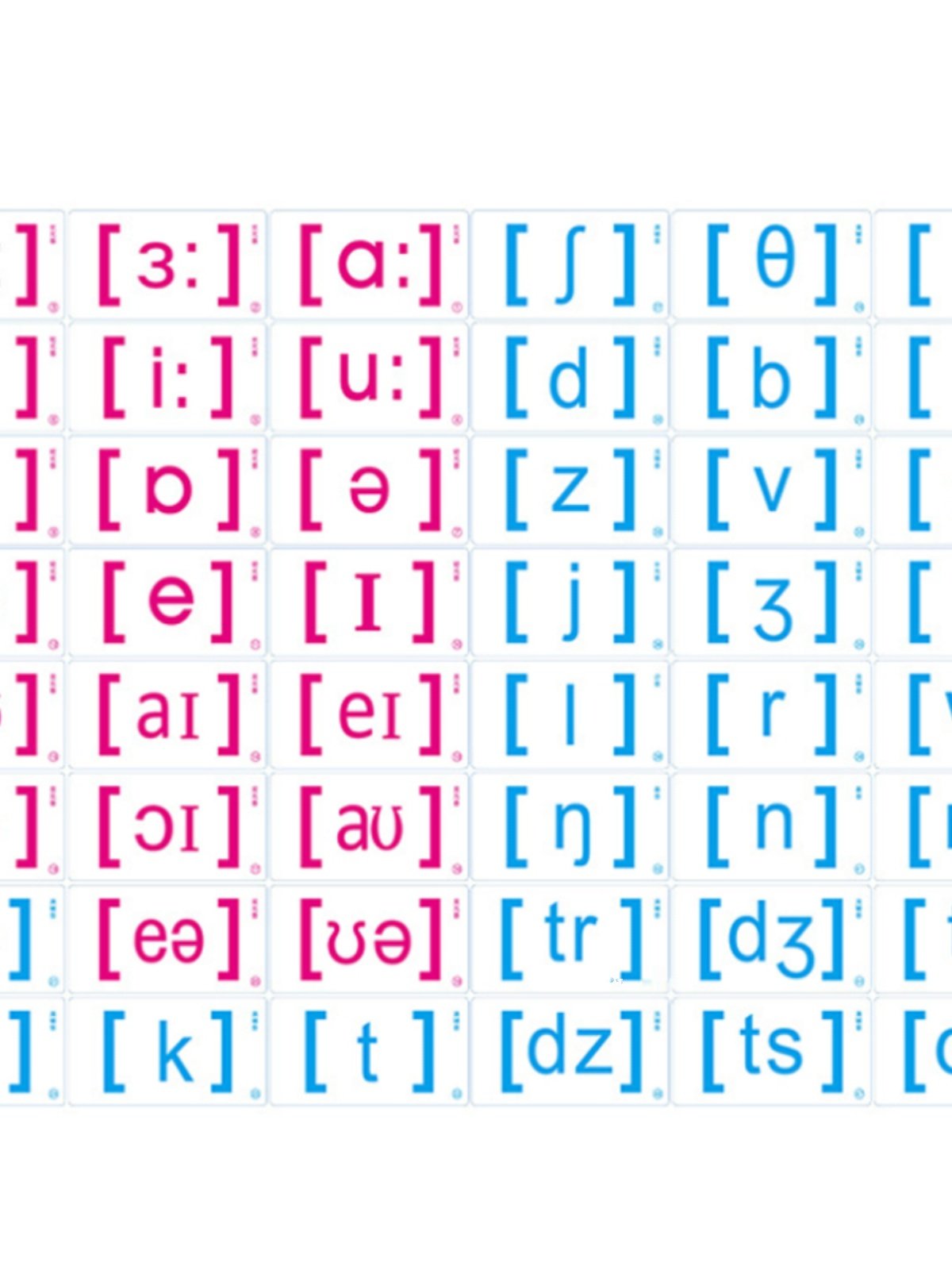 48 International Phonetic Symbol Cards - Magnetic Learning Chart