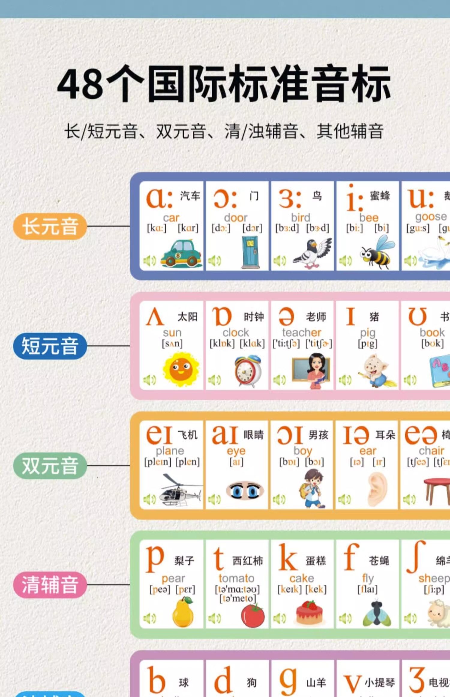 Engelske Fonetiske Symboler Vægdiagram Til Folkeskolelæring | Kalbabi ...