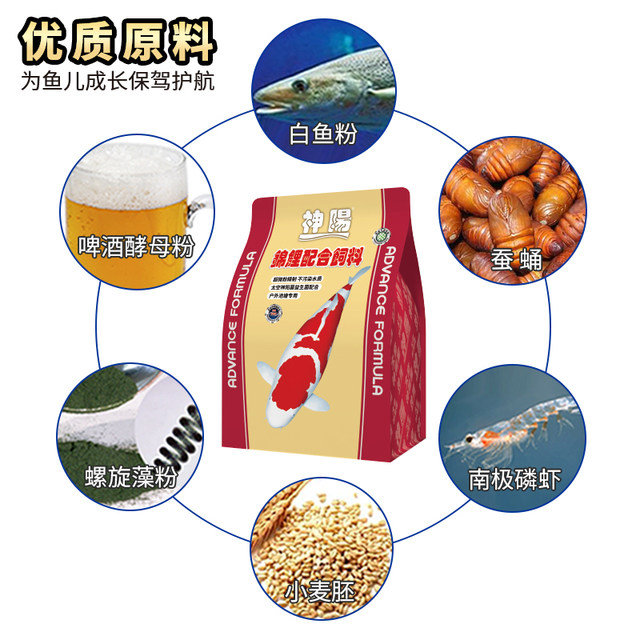 Shenyang koi feed body growth growth fish food color special fish grain ...
