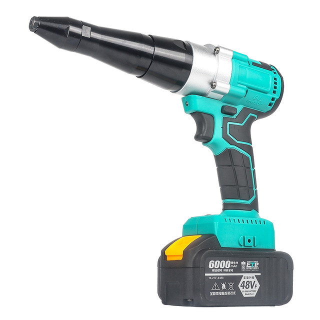 Ruishi Dayi electric rivet gun lithium battery fully automatic rivet ...