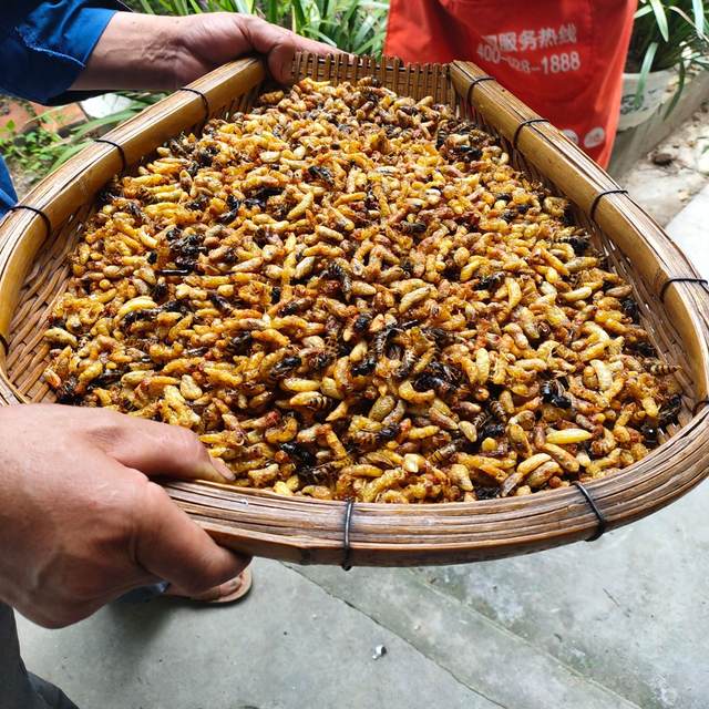 Fried bee pupae (half Jin [Jin is equal to 0.5 kg]), a local specialty ...
