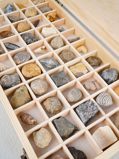 Ancient gifts of 50 kinds of natural mineral fossil specimens sets of ...