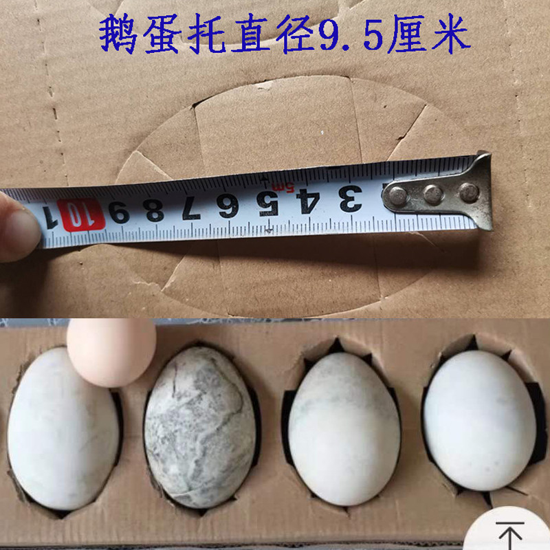 Xinhai packaging gänseei-geschenkbox – anpassbare entenei-verpackung ...