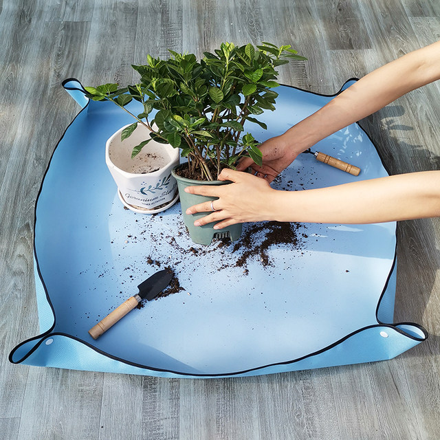 Horticultural operation floor mats, fleshy green plants, flip pots to ...