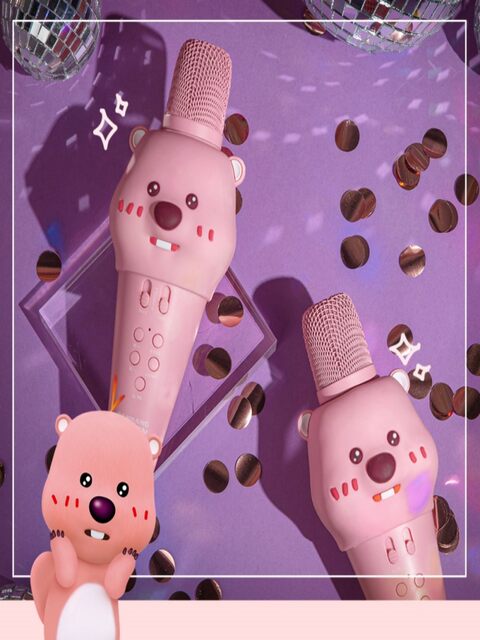 Genuine loopy pink beaver cute Ruby cartoon wireless microphone mobile ...