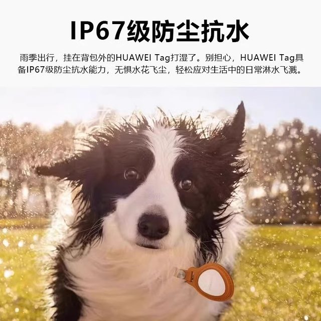 Huawei tag anti-lost locator anti-lost elf bicycle gps locator dog and ...