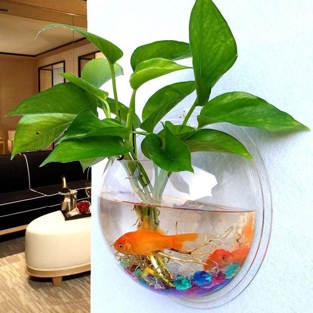 Acrylic Wall Hydroponic Green Loopen Pot Basin Wall -Mount Fish Wall ...