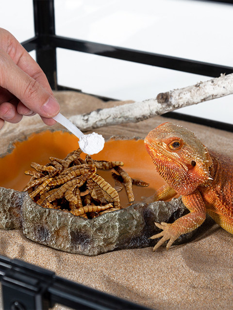 Ruipi Rewtizoo Calcium Powder Vitamin D3 Pets Pets Turtle Mince Lion ...