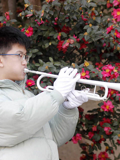 Slade Red trumpet B -tone Bronze Tube's exquisite high -value white ...