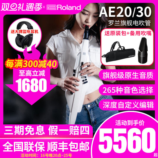 Roland Roland electric blowpipe AE20W/AE30 professional electronic ...