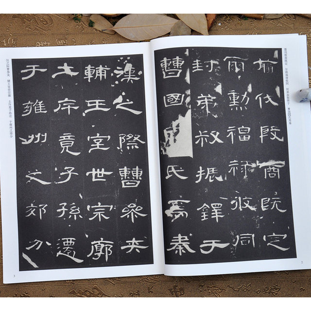 100 Essences of the Spiritual Flying Scriptures from Ancient Steles of ...