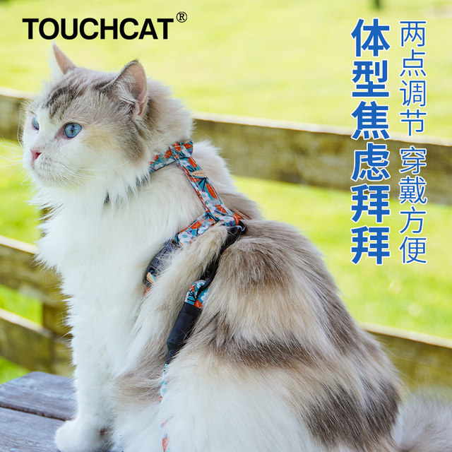 Touchcat, its cat leads the rope, walking cat rope chest venom -type ...