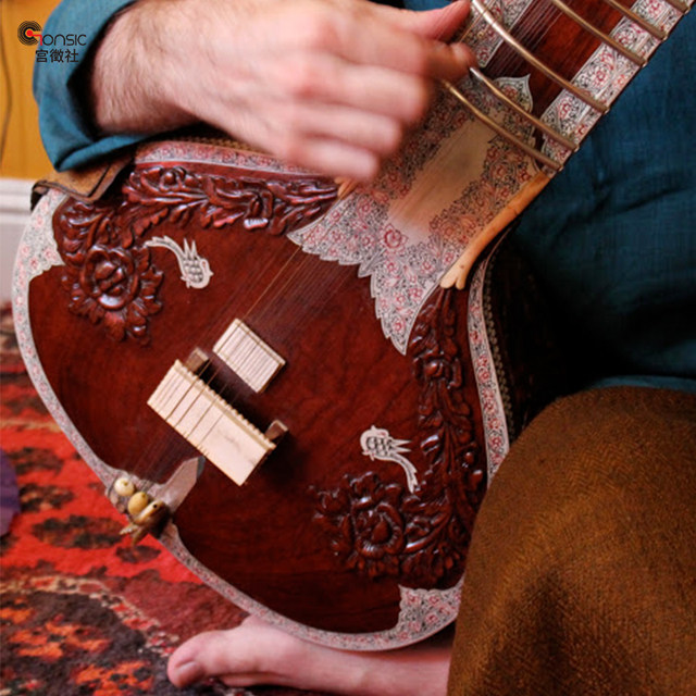 Indian Sitar SITAR Electric Box Import instrument Classical Handmade ...