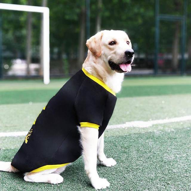 Dog clothes autumn and winter plus velvet Labrador golden retriever ...