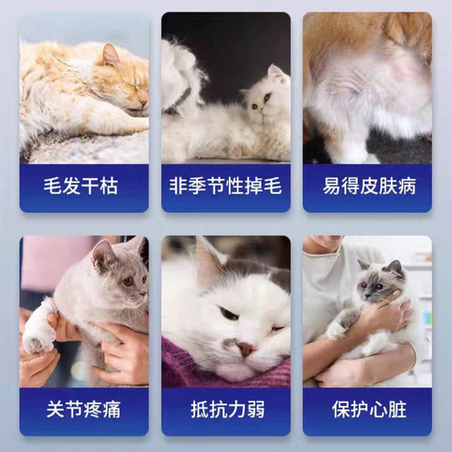 MAG Fish Oil U+ Deep Sea Capsule for Cats and Dogs Super Concentrated ...