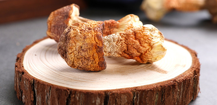 Dried matsutake mushrooms - wild mushrooms