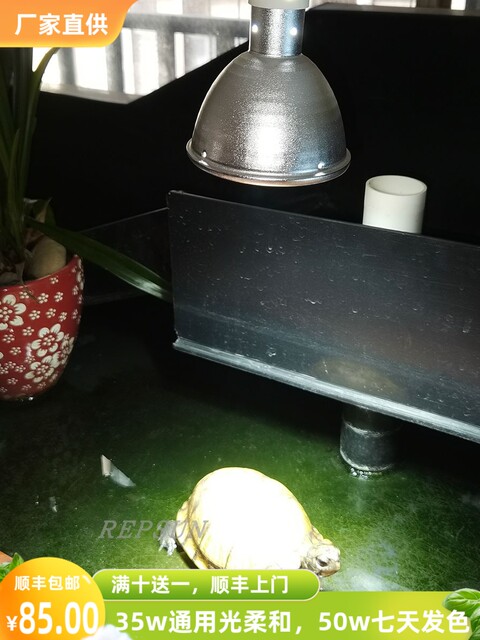 Full spectrum metal halide lamp 110V reptile, water, tortoise, lizard ...