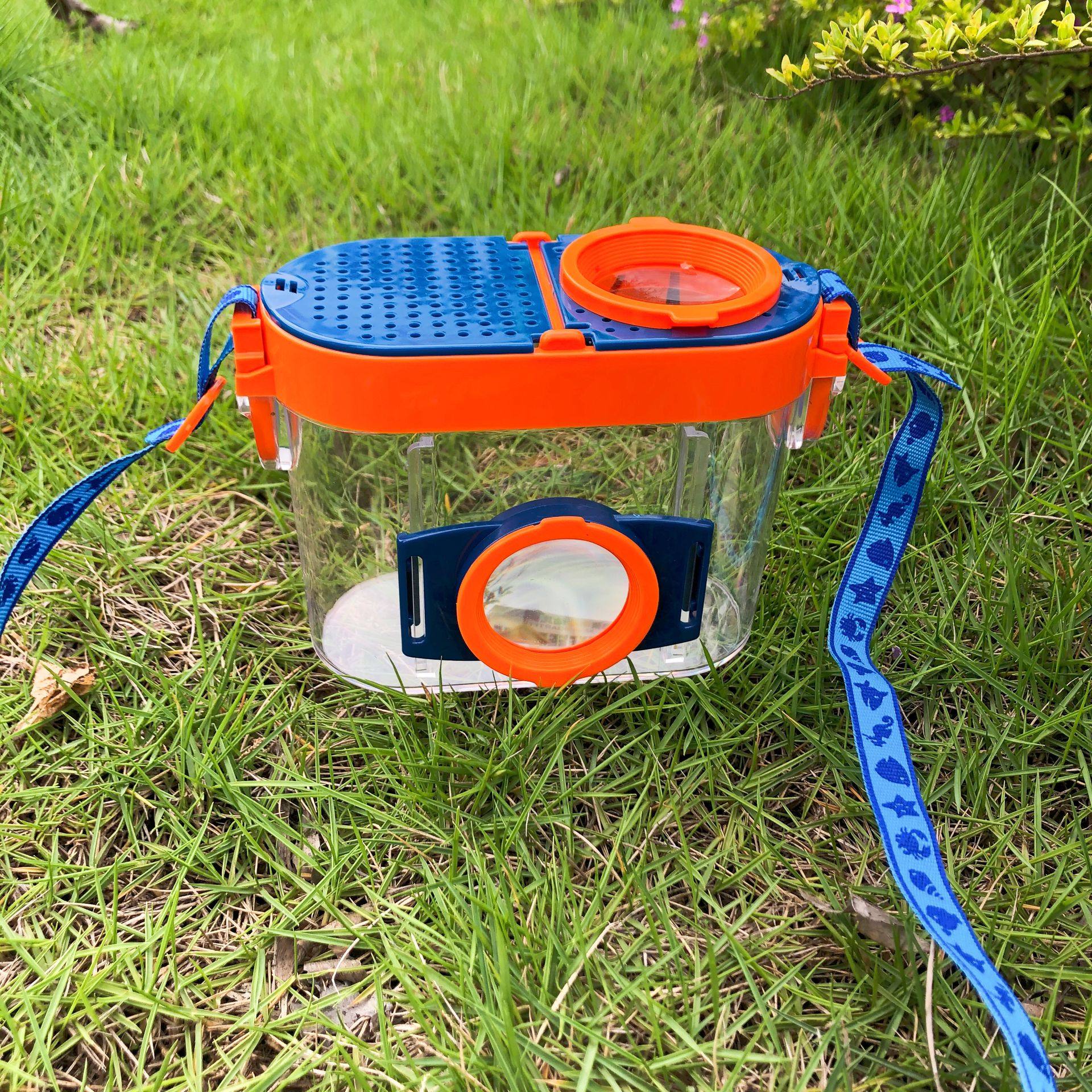 Children's Insect Observation Collection Box | Outdoor Nature ...