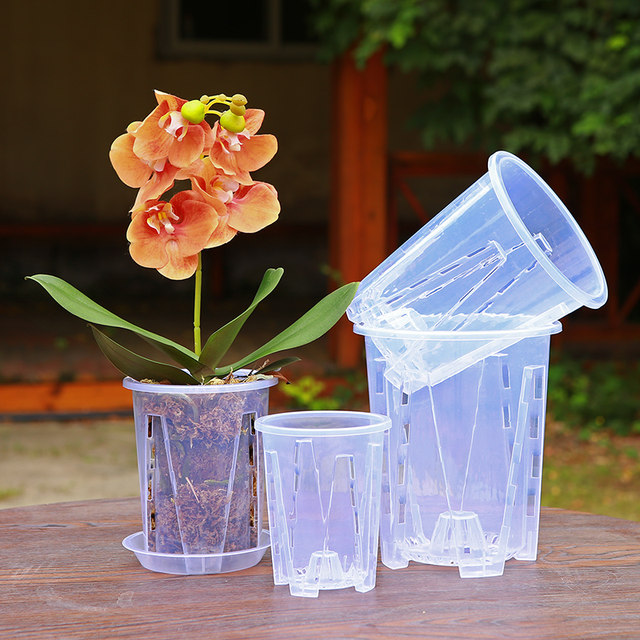 Phalaenopsis special transparent root control pot orchid flowers ...