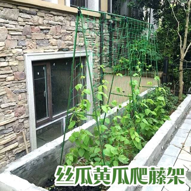 Gardening bracket plastic-coated steel pipe vegetable growing rack ...