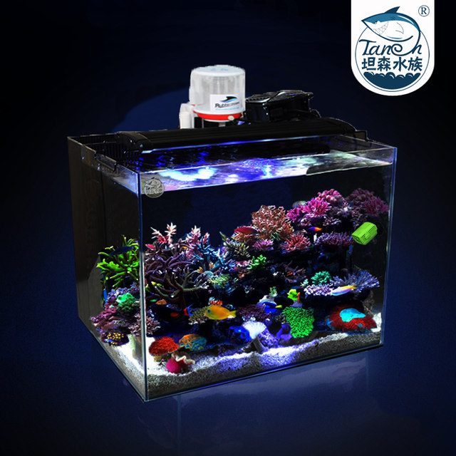 Seawater coral tank small desktop seawater back filter sea tank ultra ...