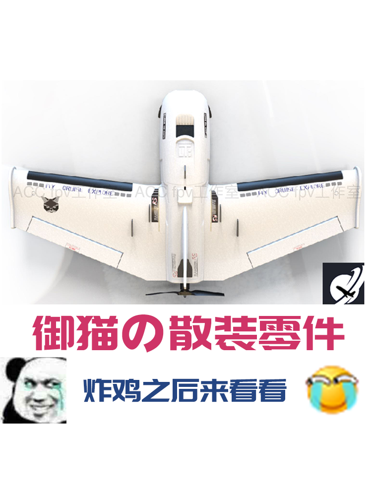 Rambler Royal Cat 1000mm Envergadura FPV Ala Voladora