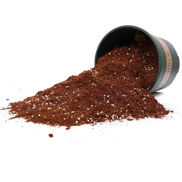 Special soil for jasmine, nutritious soil for flower cultivation ...