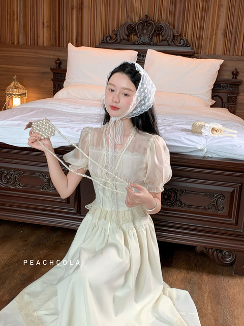 Panel Lace Lace Palace Vedic Vedic Dress