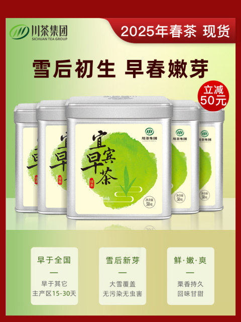 Sichuan Tea Group Yibin Morning Tea Tou Spring Tea Green Tea 2025 New ...